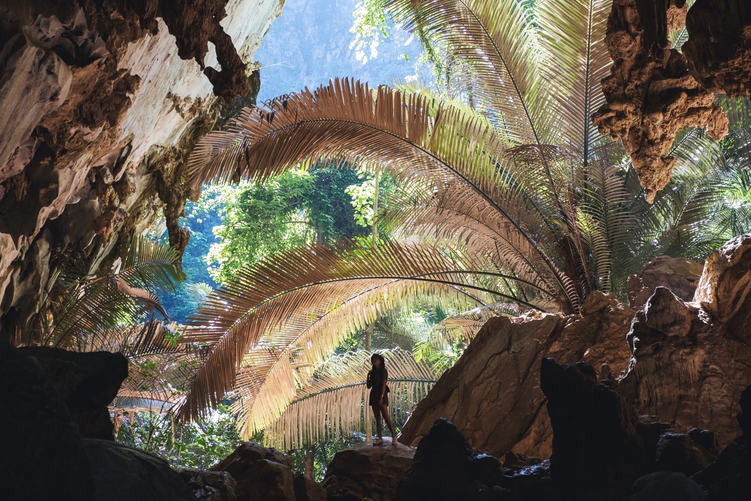 Worlds largest the San Doong Cave - Citibond Holidays